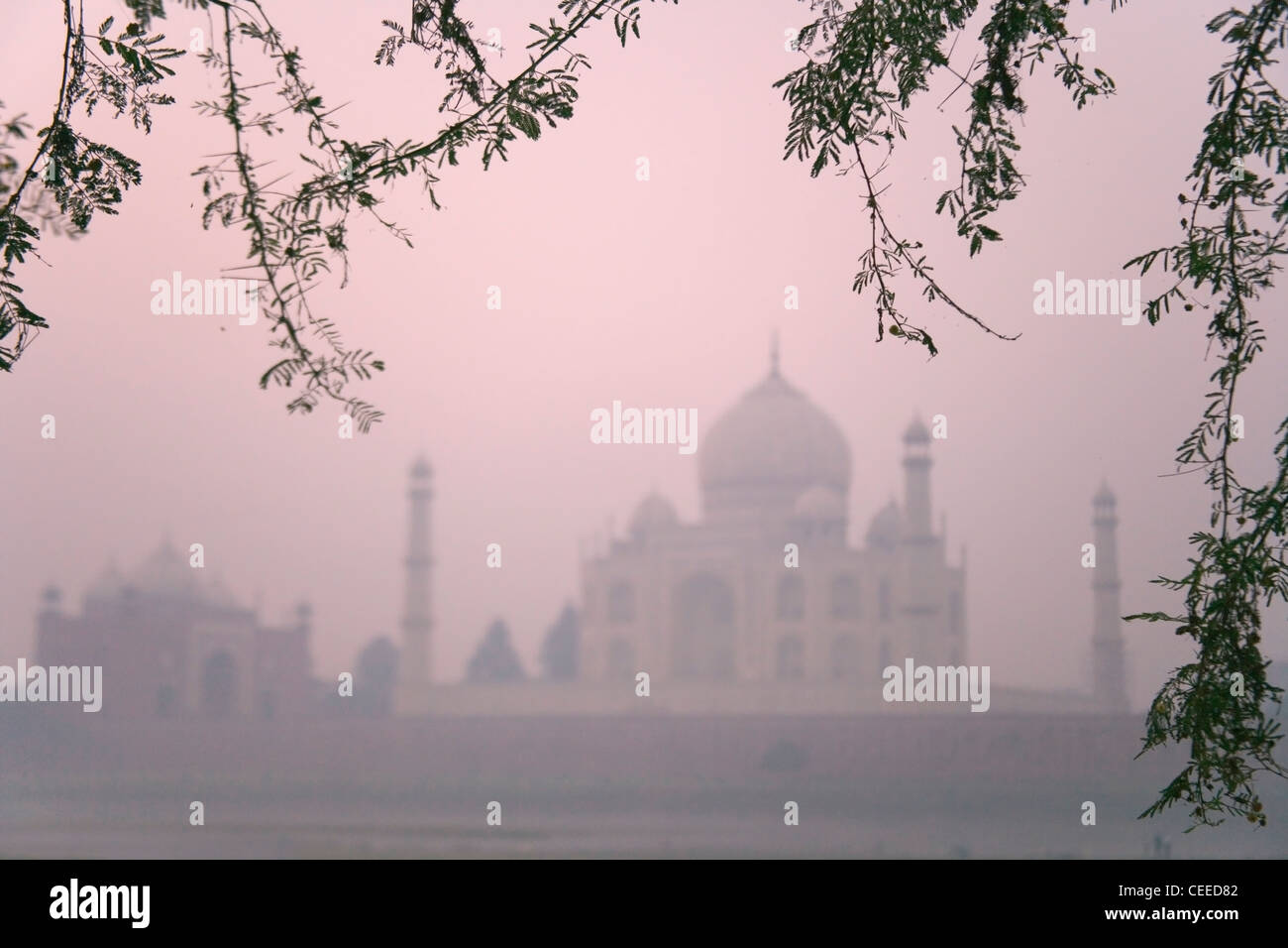 Taj mahal in india pink hi-res stock photography and images - Alamy