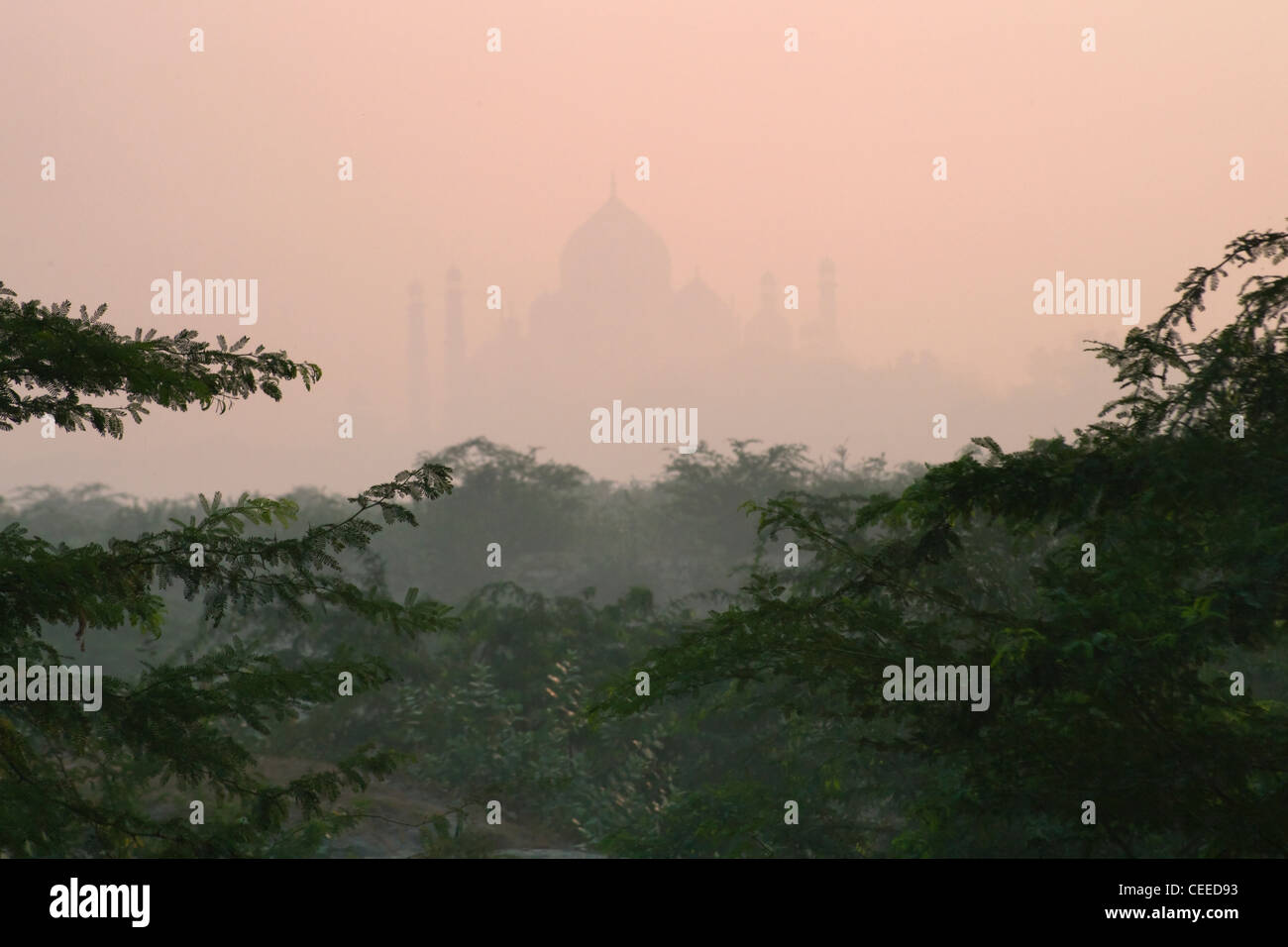 Jungle mahal hi-res stock photography and images - Alamy