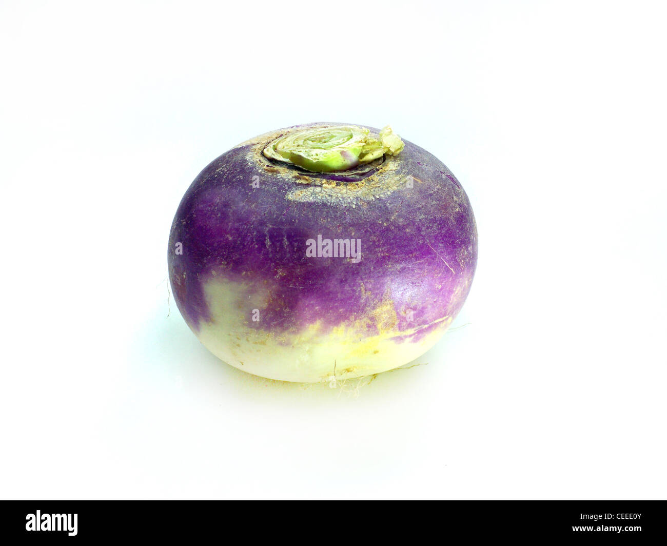 purple headed turnips isolated on white background Stock Photo - Alamy