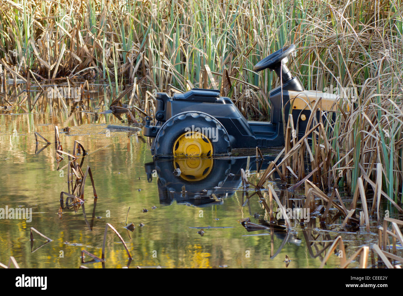 A child's toy tractor in a reed pond in Camborne. Cornwall UK Stock ...