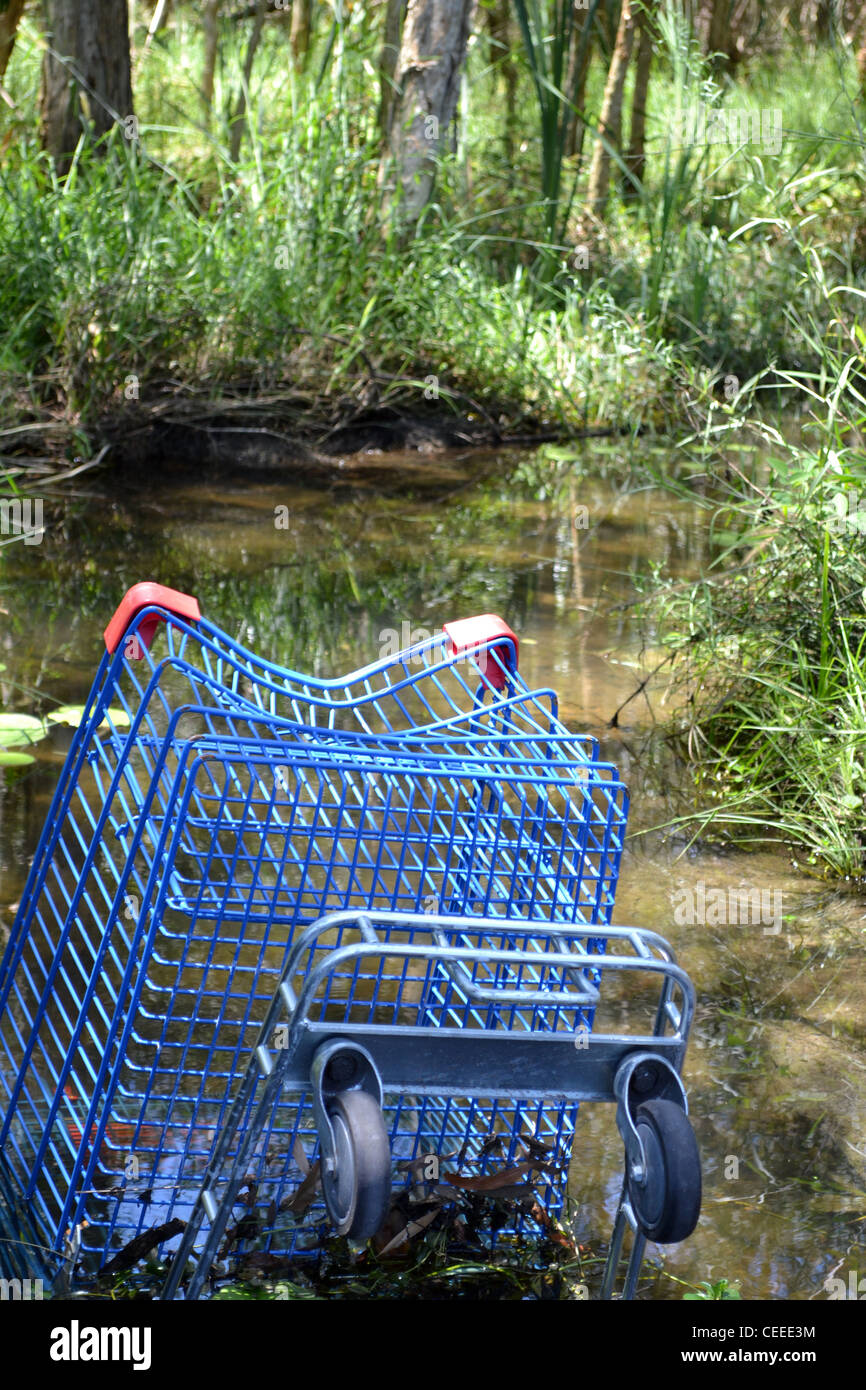 Shopping trolley dumped in creek Stock Photo - Alamy