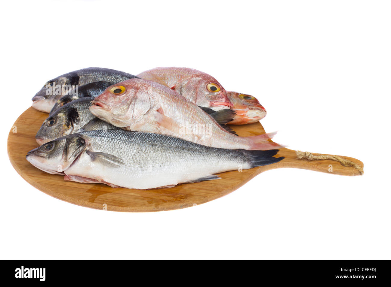 choice of raw fish isolated on white background Stock Photo - Alamy