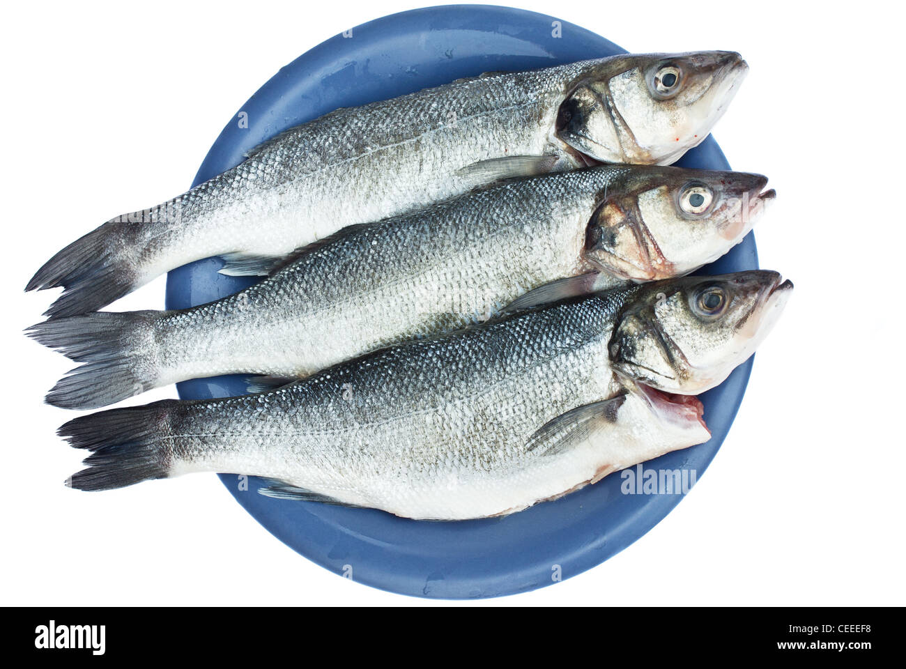 sea bass fish on plate isolated on white background Stock Photo - Alamy