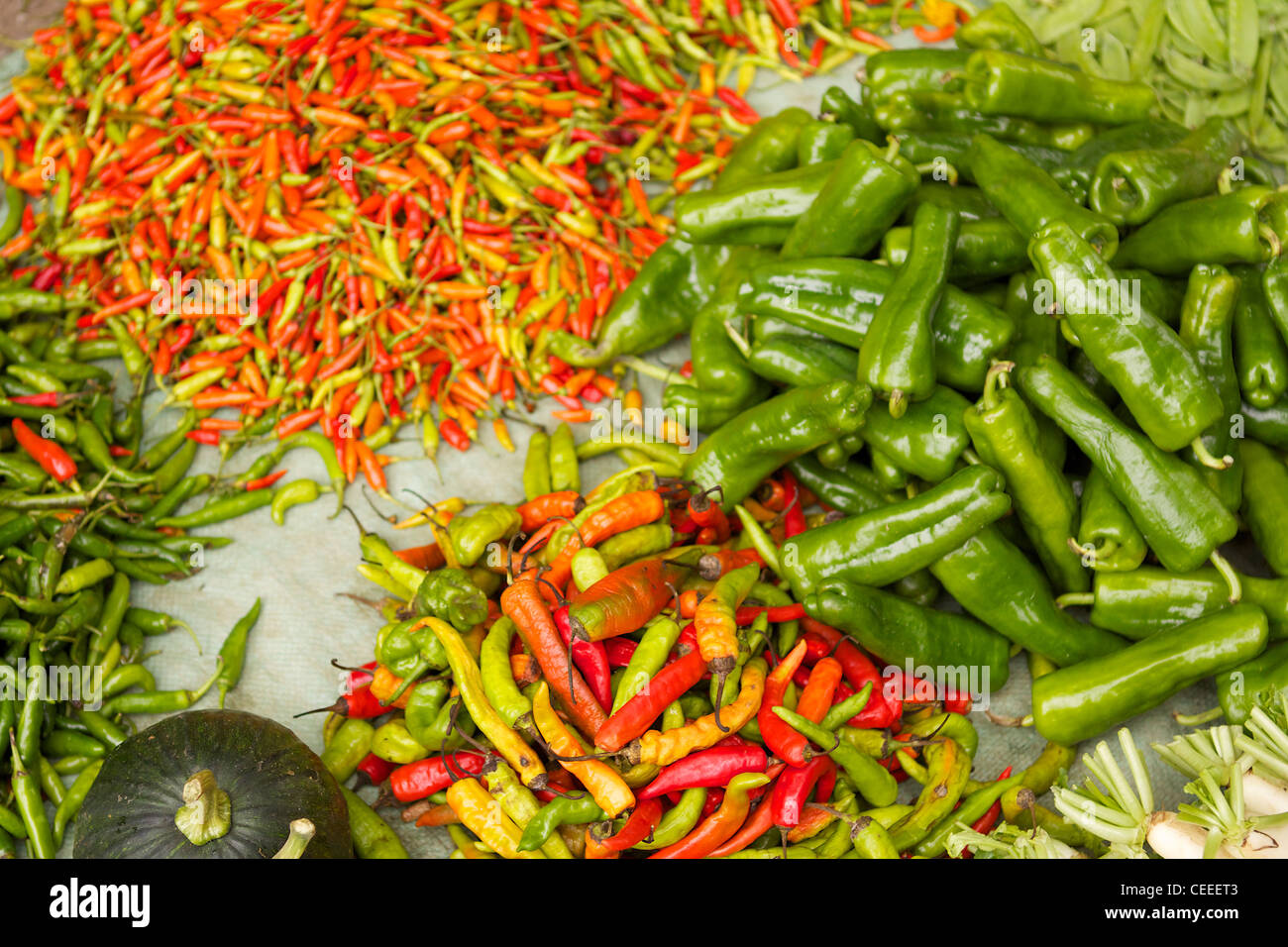 Capiscum hi-res stock photography and images - Alamy