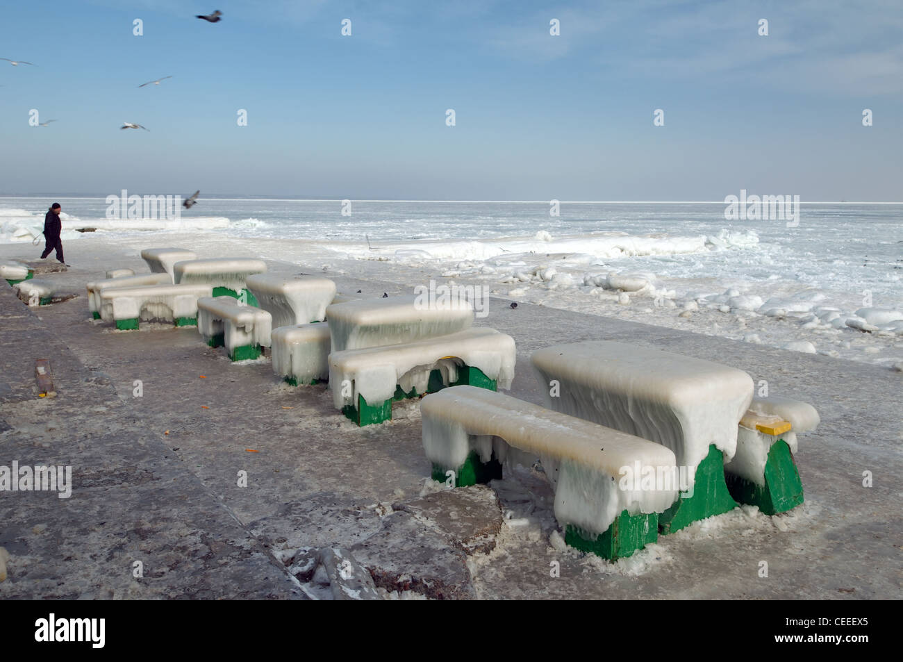 Frozen Cafe, a rare phenomenon, Odessa, Ukraine, Eastern Europe Stock ...