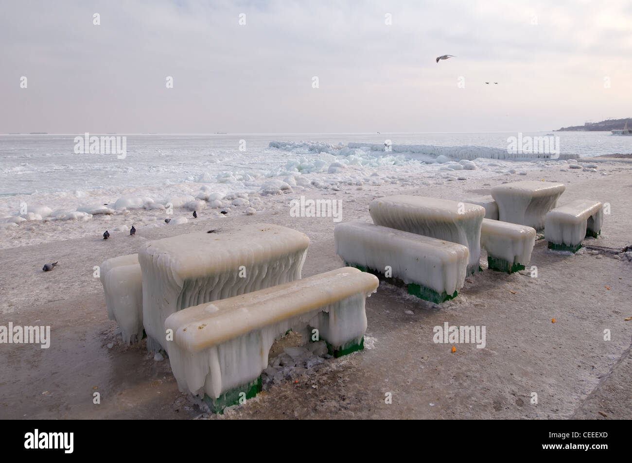 Frozen Cafe, a rare phenomenon, Odessa, Ukraine, Eastern Europe Stock ...