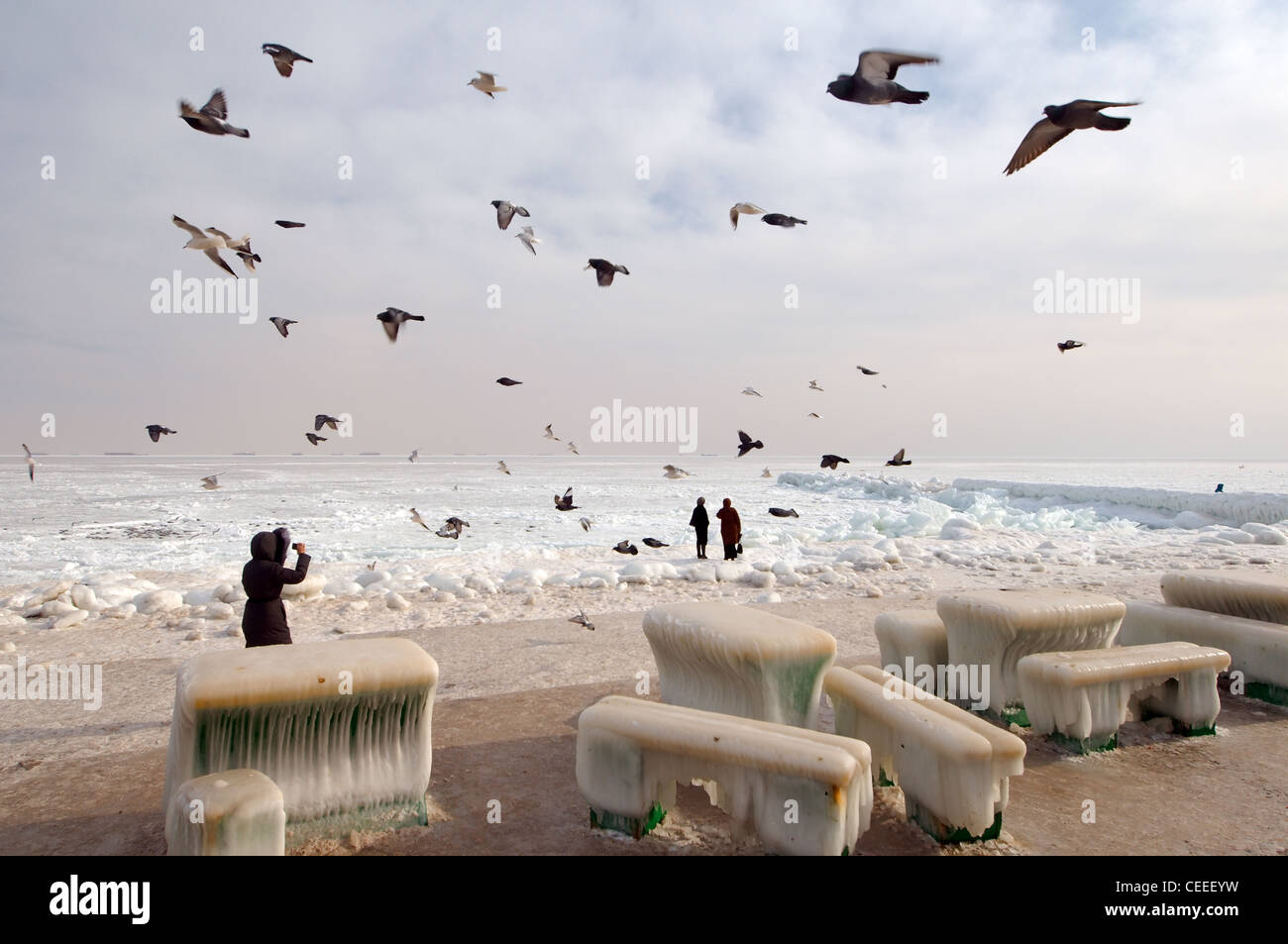 Frozen Cafe, a rare phenomenon, Odessa, Ukraine, Eastern Europe Stock ...