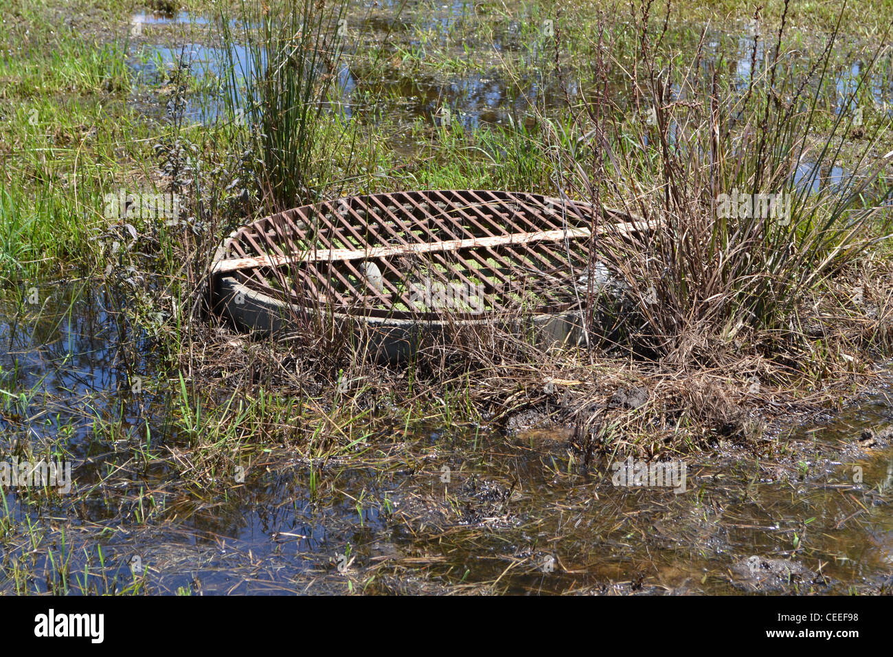 Drain cover after rain Stock Photo - Alamy