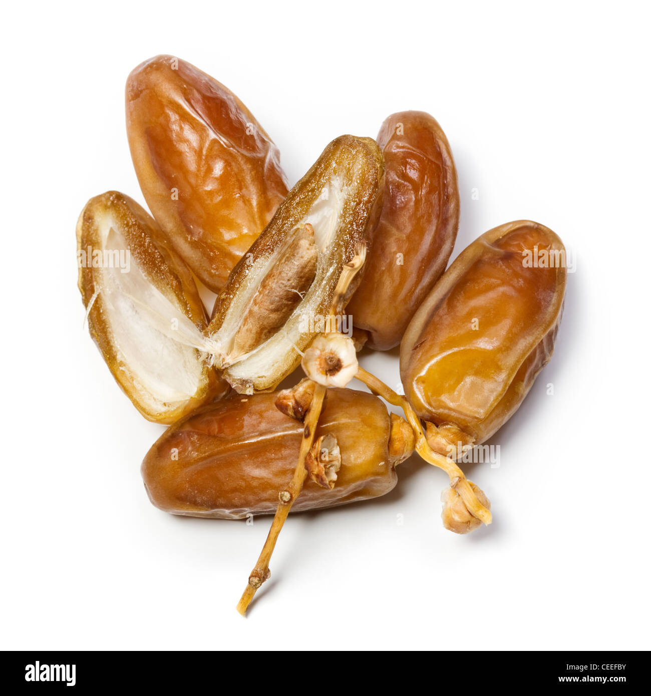 Date palm seed Cut Out Stock Images & Pictures - Alamy