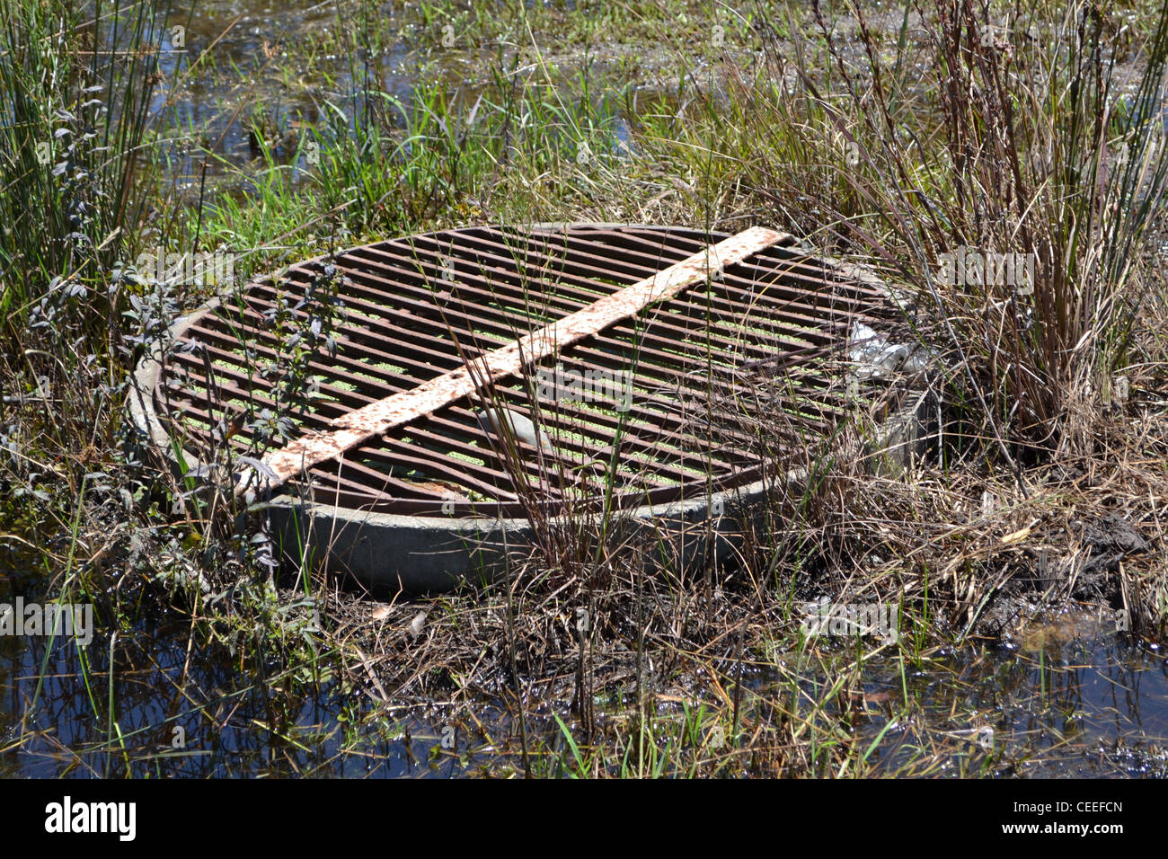 Drain cover after rain Stock Photo - Alamy