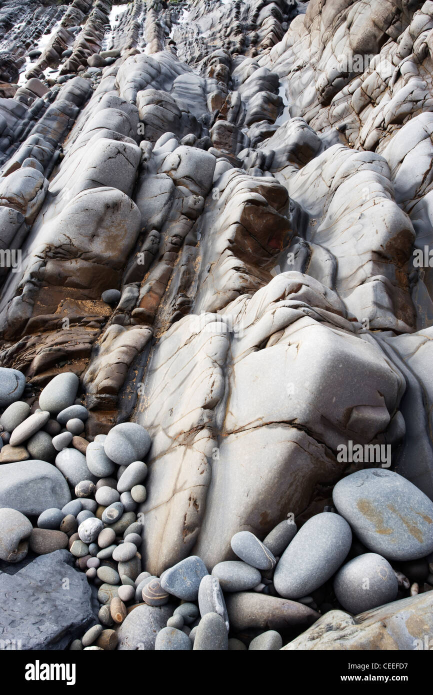 Close up of grey rock strata on the beach at Sandymouth, Cornwall, UK ...