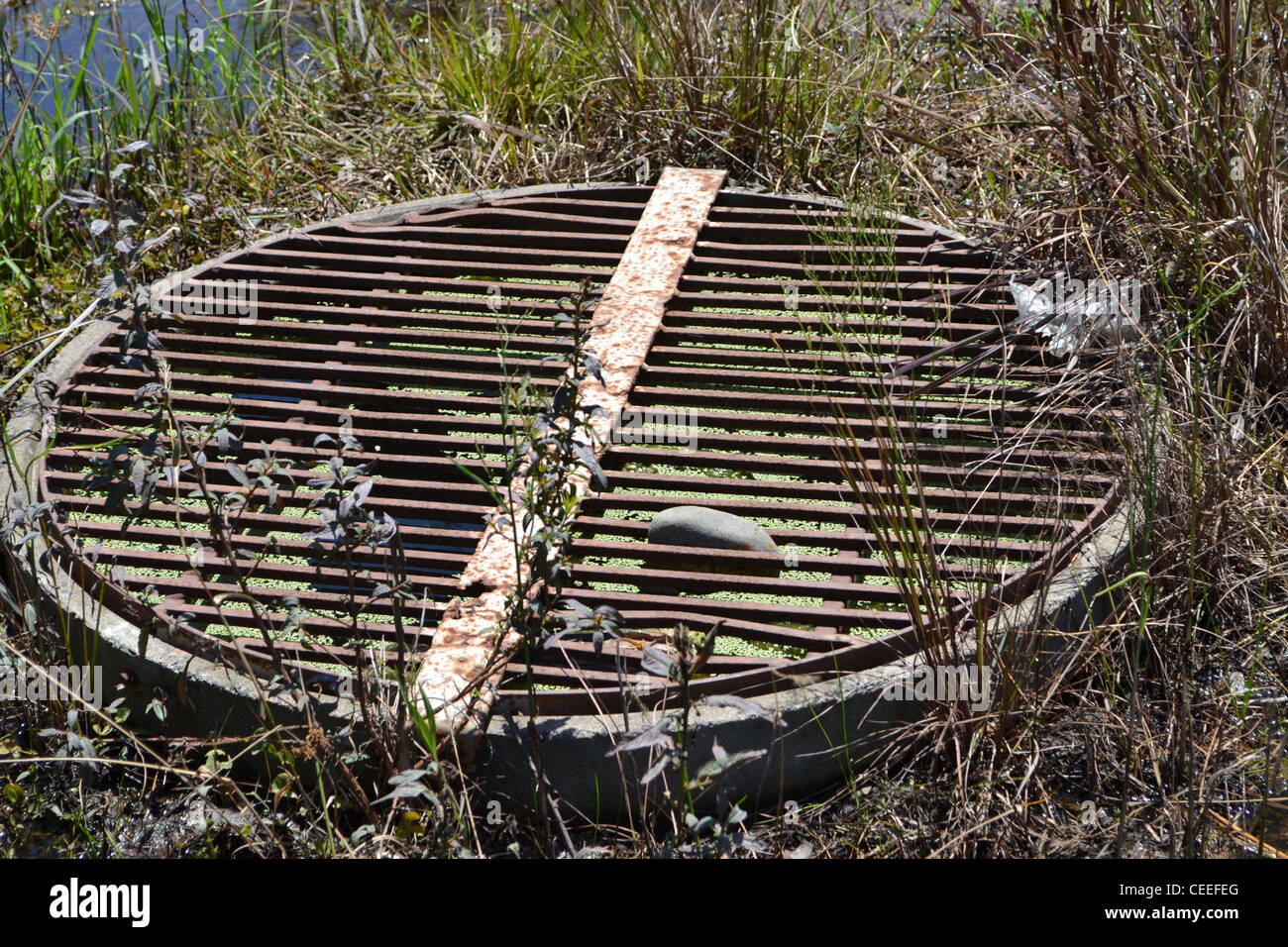 Drain grating hi-res stock photography and images - Alamy