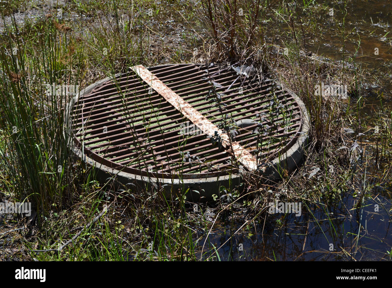 Drain cover after rain Stock Photo - Alamy