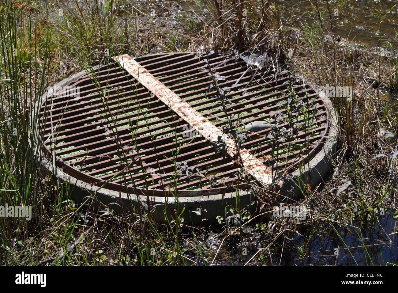 Drain cover after rain Stock Photo - Alamy