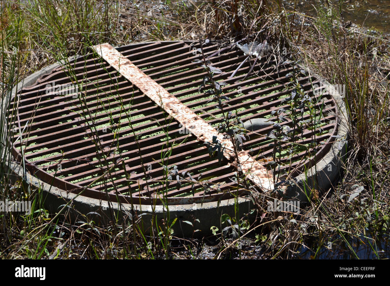Drain cover after rain Stock Photo - Alamy