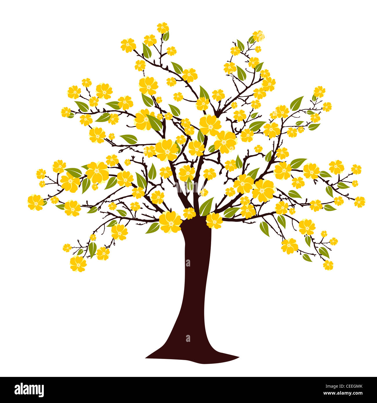 Flourish tree hi-res stock photography and images - Alamy