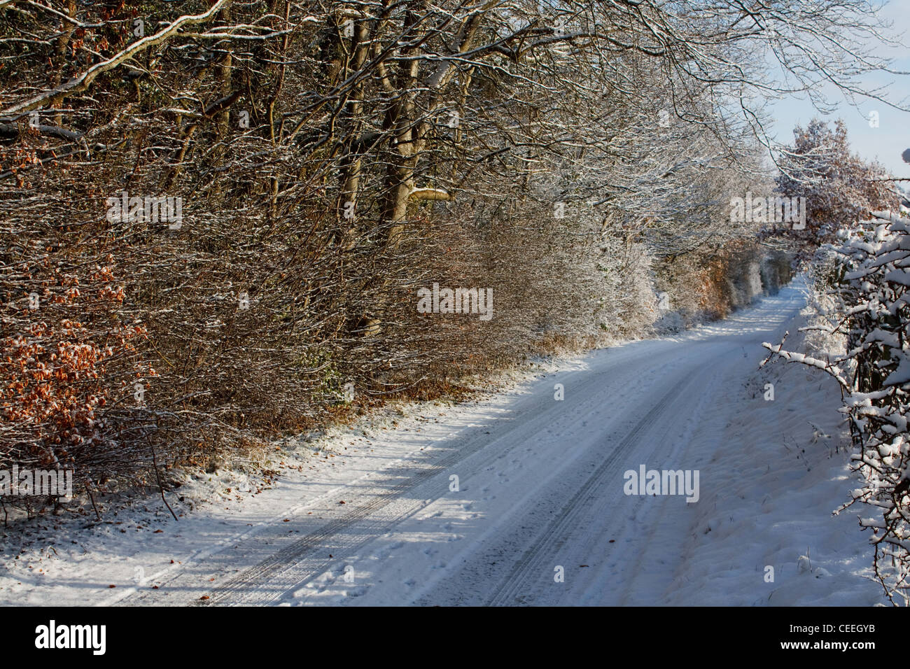 Hazardous snow conditions hi-res stock photography and images - Alamy