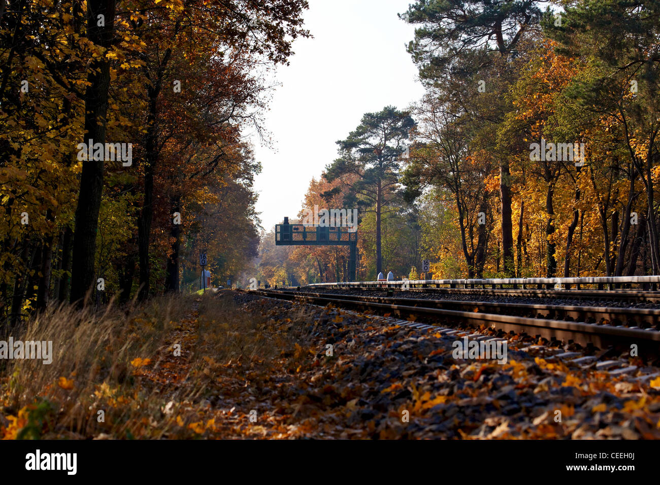 A Fall forest landscape with railroad tracks running through and a ...