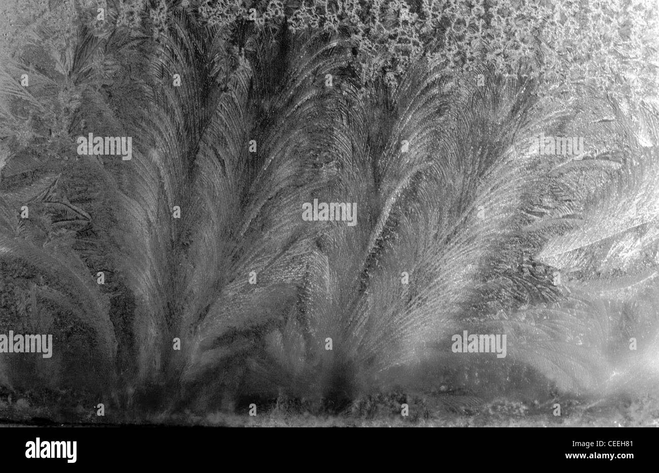 frost patterns, ice, freeze, winter, window Stock Photo - Alamy