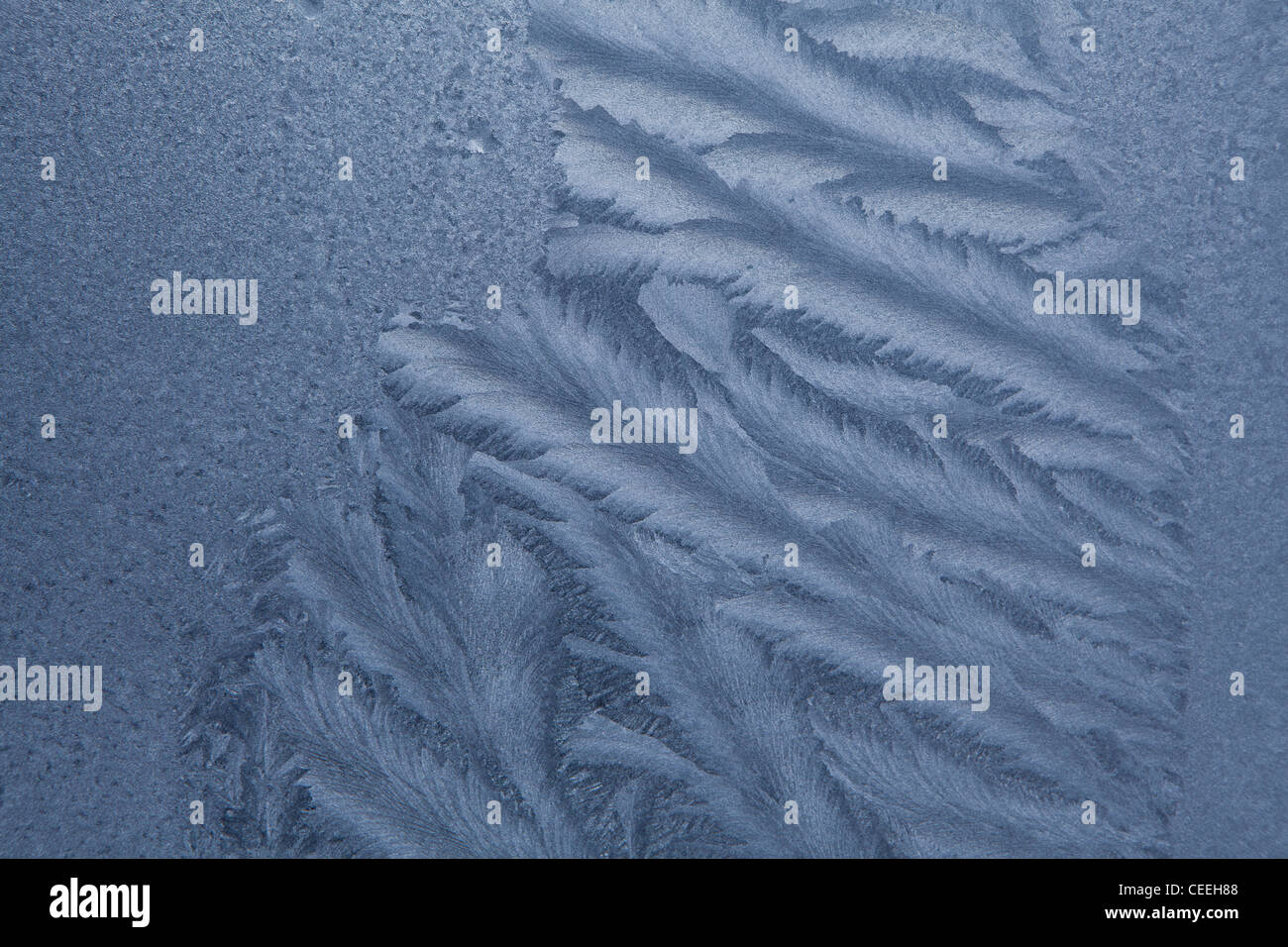 frost patterns, ice, freeze, winter, window Stock Photo - Alamy