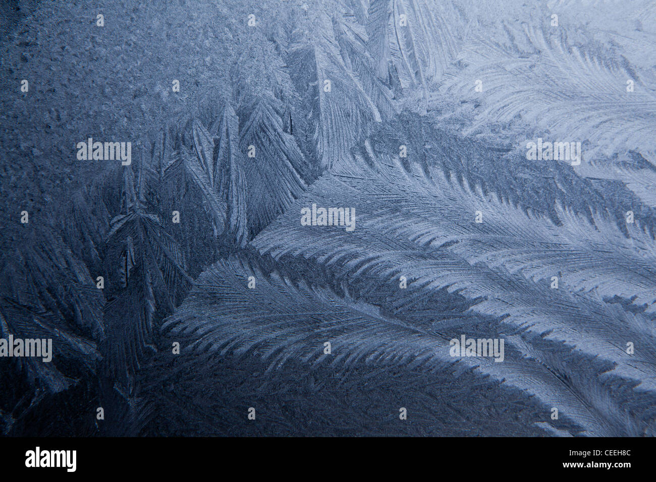 frost patterns, ice, freeze, winter, window Stock Photo - Alamy