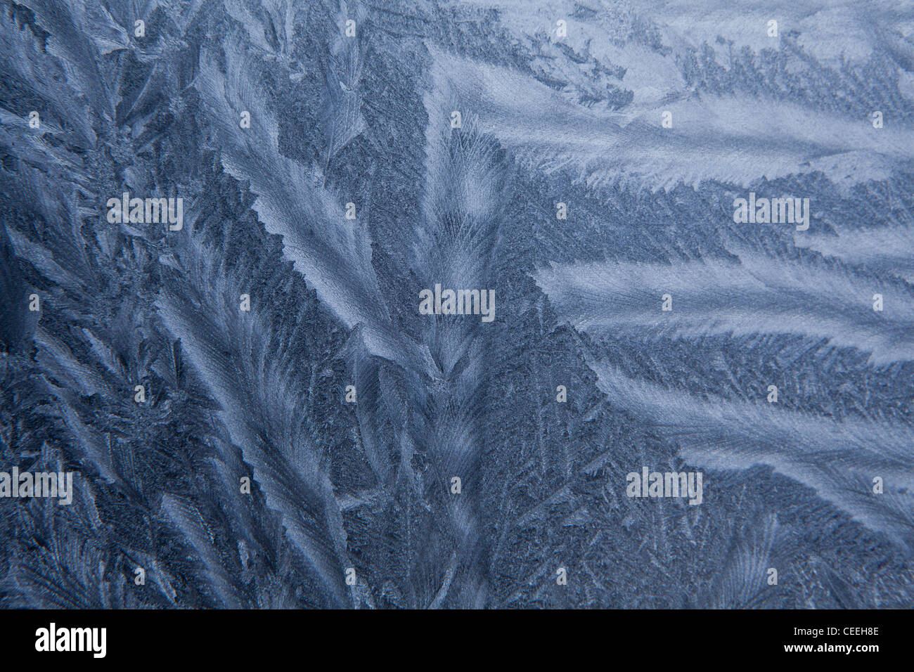 frost patterns, ice, freeze, winter, window Stock Photo - Alamy