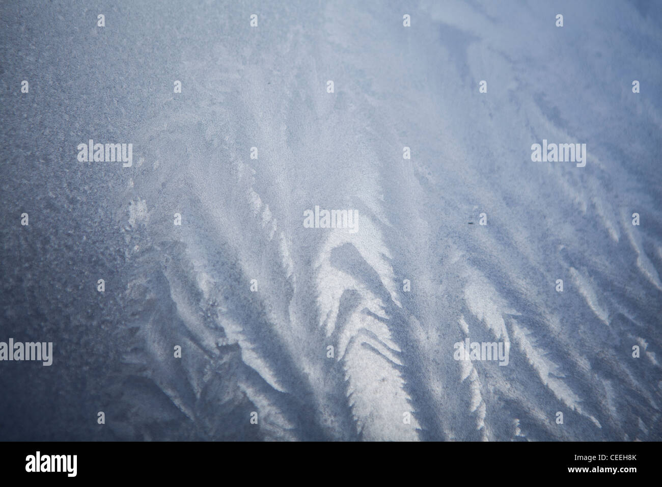 frost patterns, ice, freeze, winter, window Stock Photo - Alamy