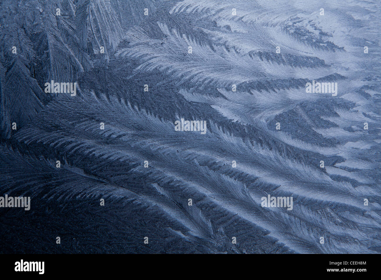 frost patterns, ice, freeze, winter, window Stock Photo - Alamy