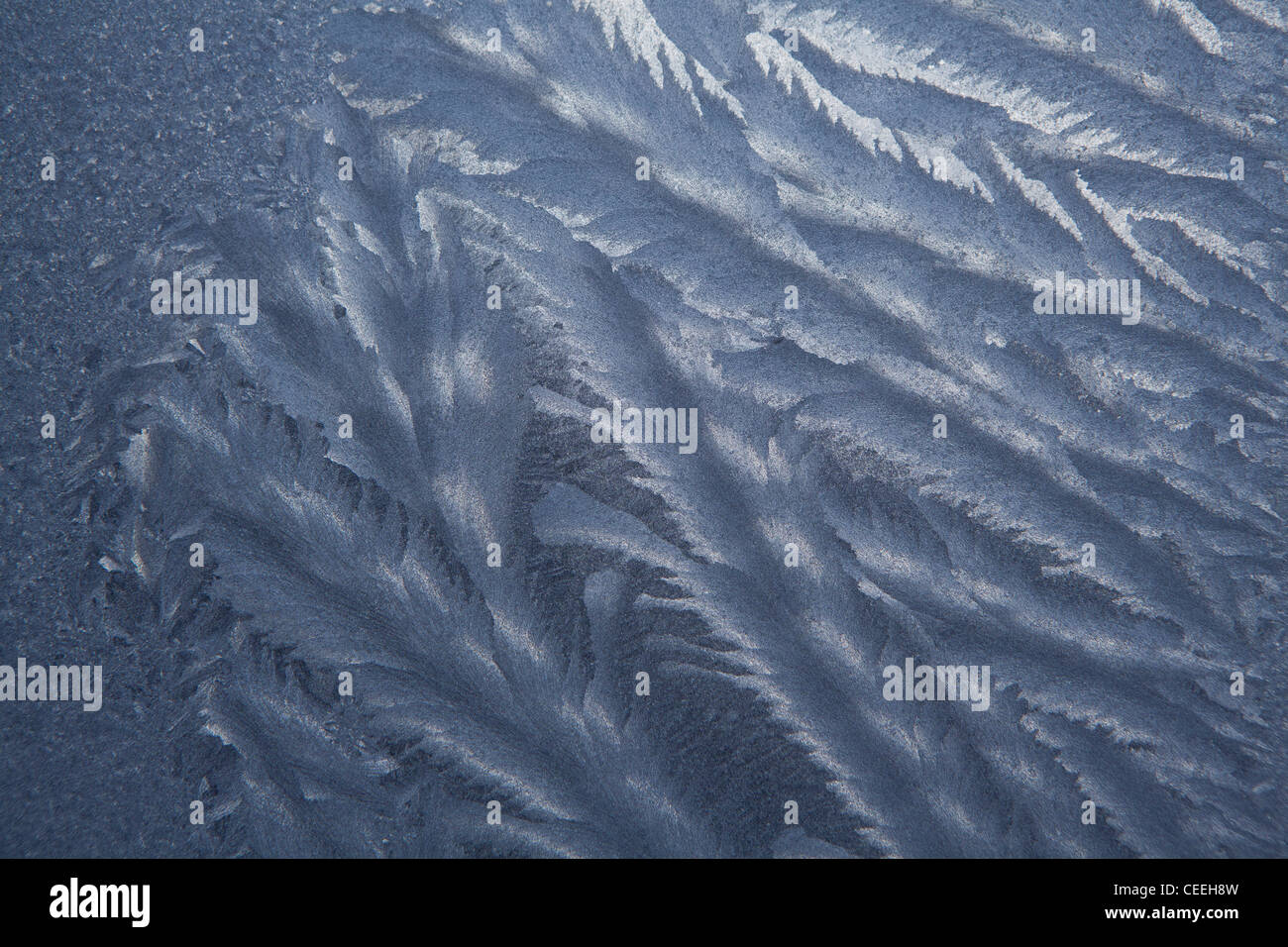 frost patterns, ice, freeze, winter, window Stock Photo - Alamy