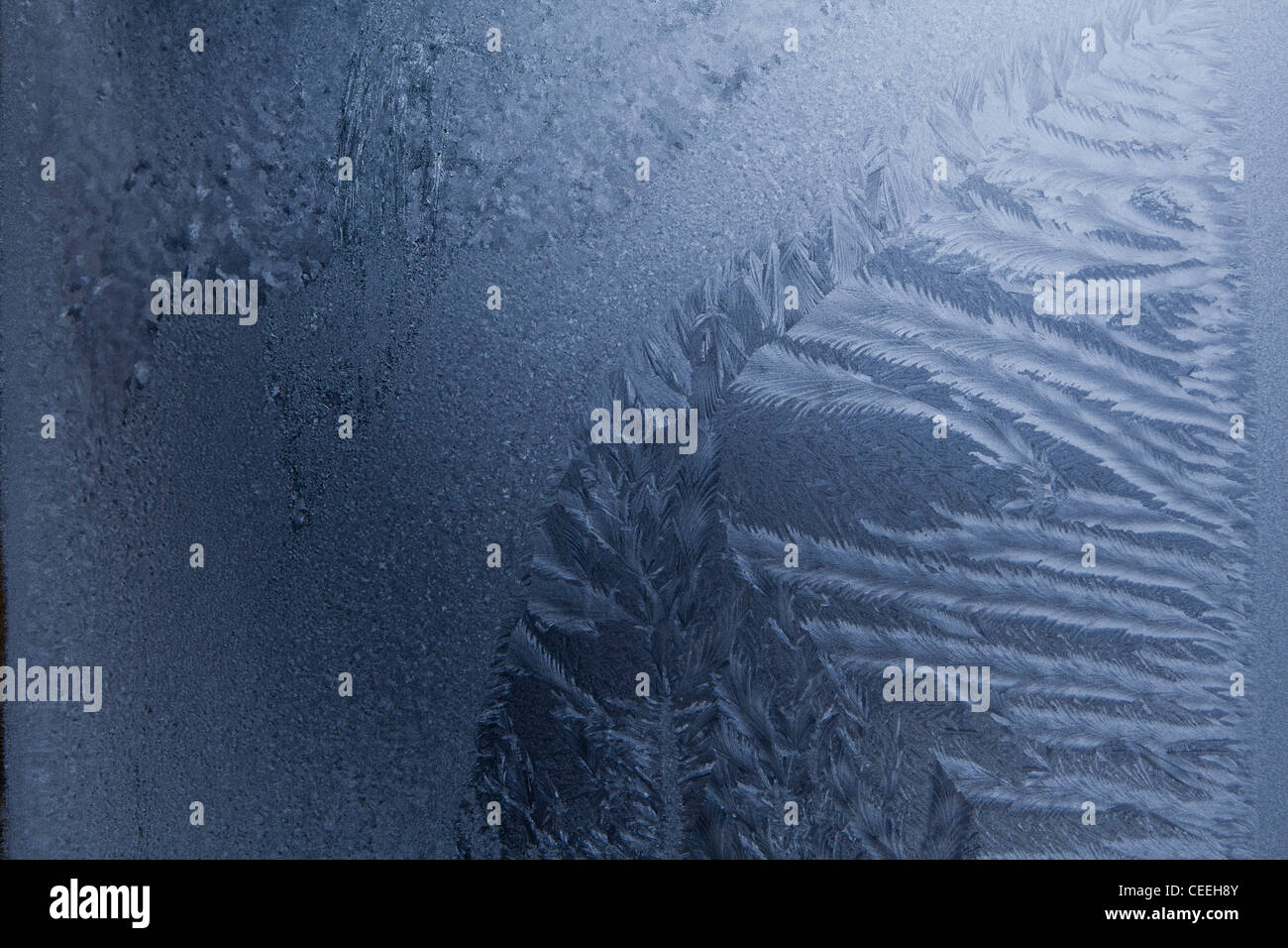 frost patterns, ice, freeze, winter, window Stock Photo - Alamy