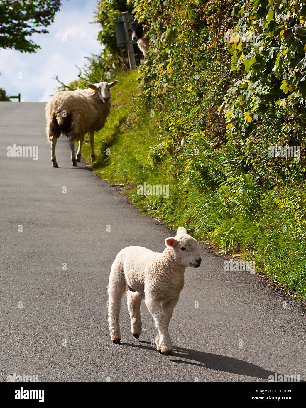 Loiter Stock Photos & Loiter Stock Images - Alamy