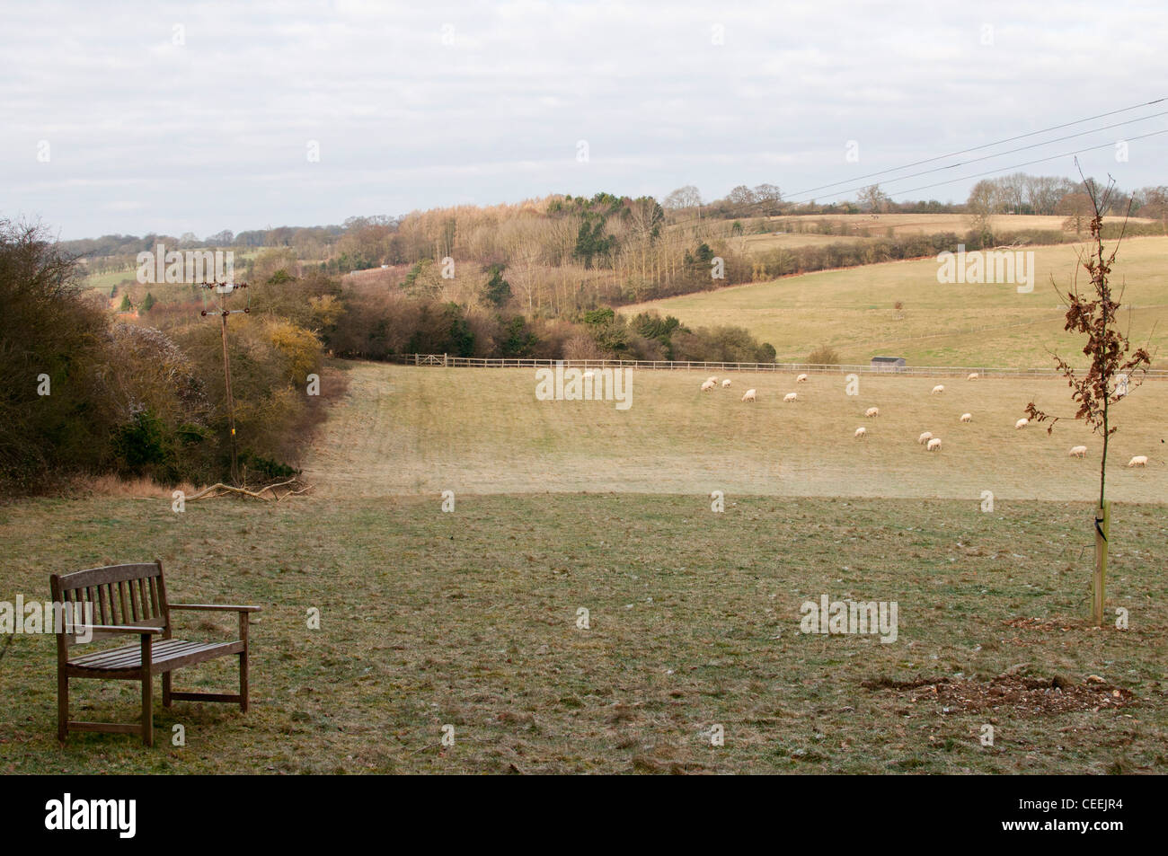 Chiltern countryside hi-res stock photography and images - Alamy