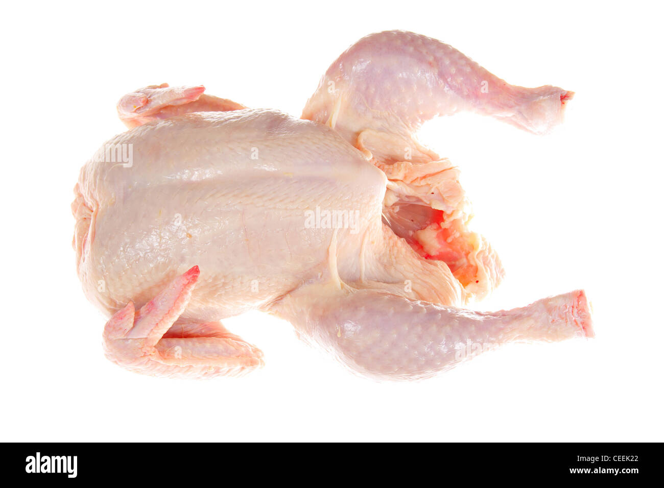 Chicken skin texture hi-res stock photography and images - Alamy
