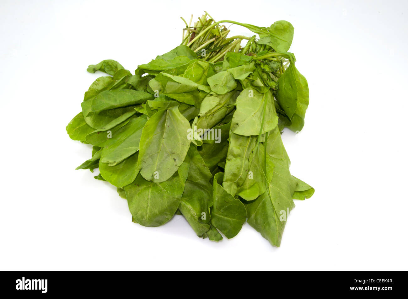 Indian spinach hi-res stock photography and images - Alamy