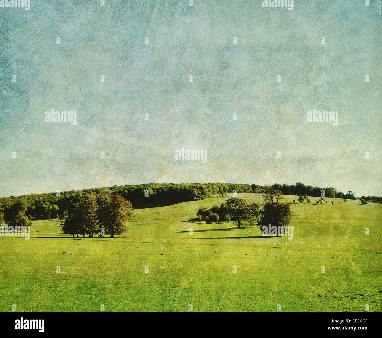 Old photos vintage postcard prints hi-res stock photography and images ...