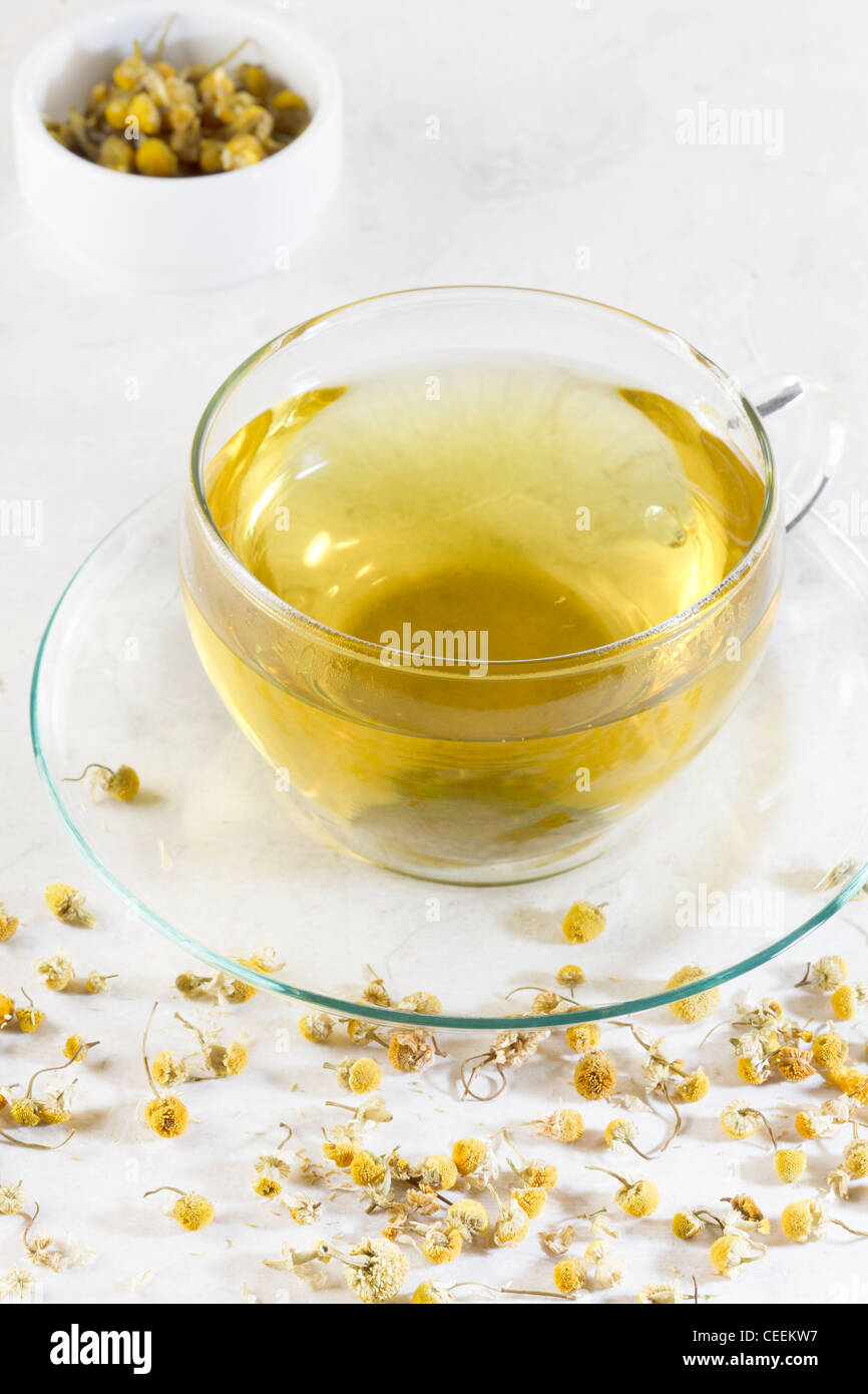 Chamomile chamomile hi-res stock photography and images - Alamy