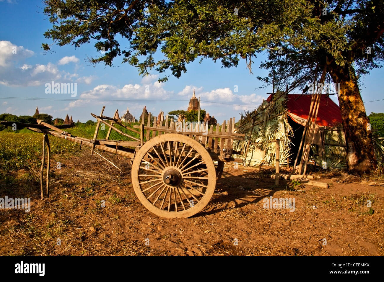 Bullock cart bagan myanmar hi-res stock photography and images - Alamy