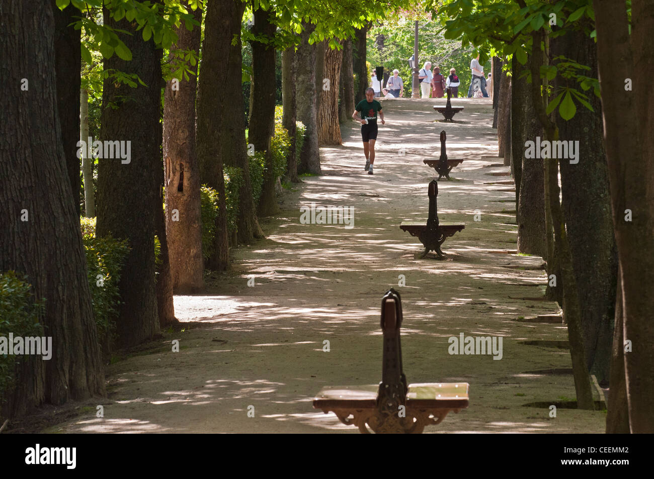 Trees in retiro park hi-res stock photography and images - Alamy