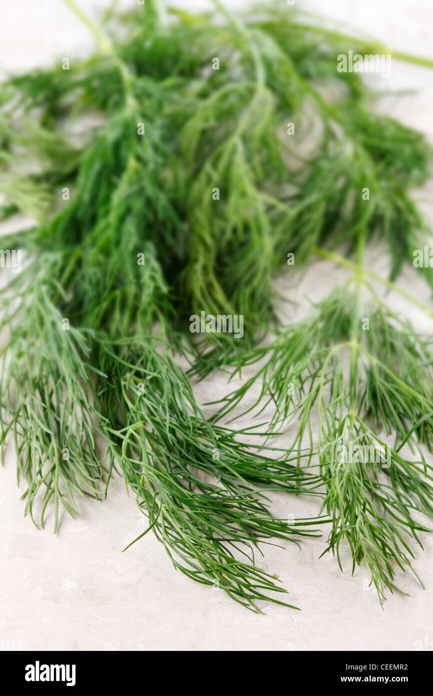 With dill hi-res stock photography and images - Alamy