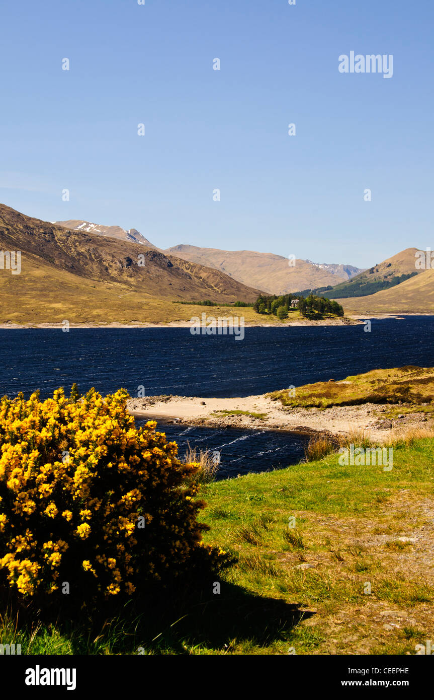 Bun loyne hi-res stock photography and images - Alamy