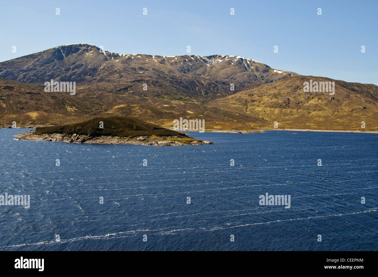 Bun loyne hi-res stock photography and images - Alamy