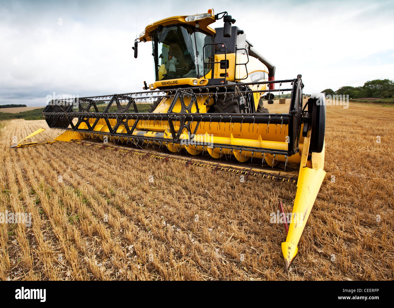 A Combine Harvester on Cranborne Chase, Dorset. A barley crop has just ...