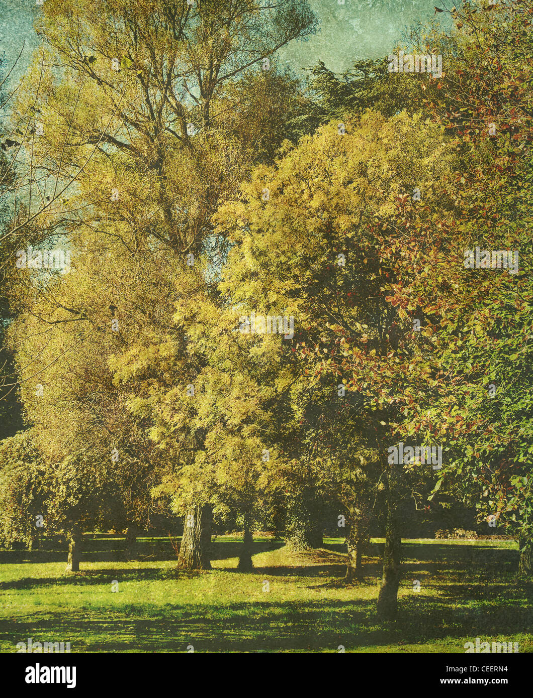 Old Photos Vintage Postcard Prints High Resolution Stock Photography ...