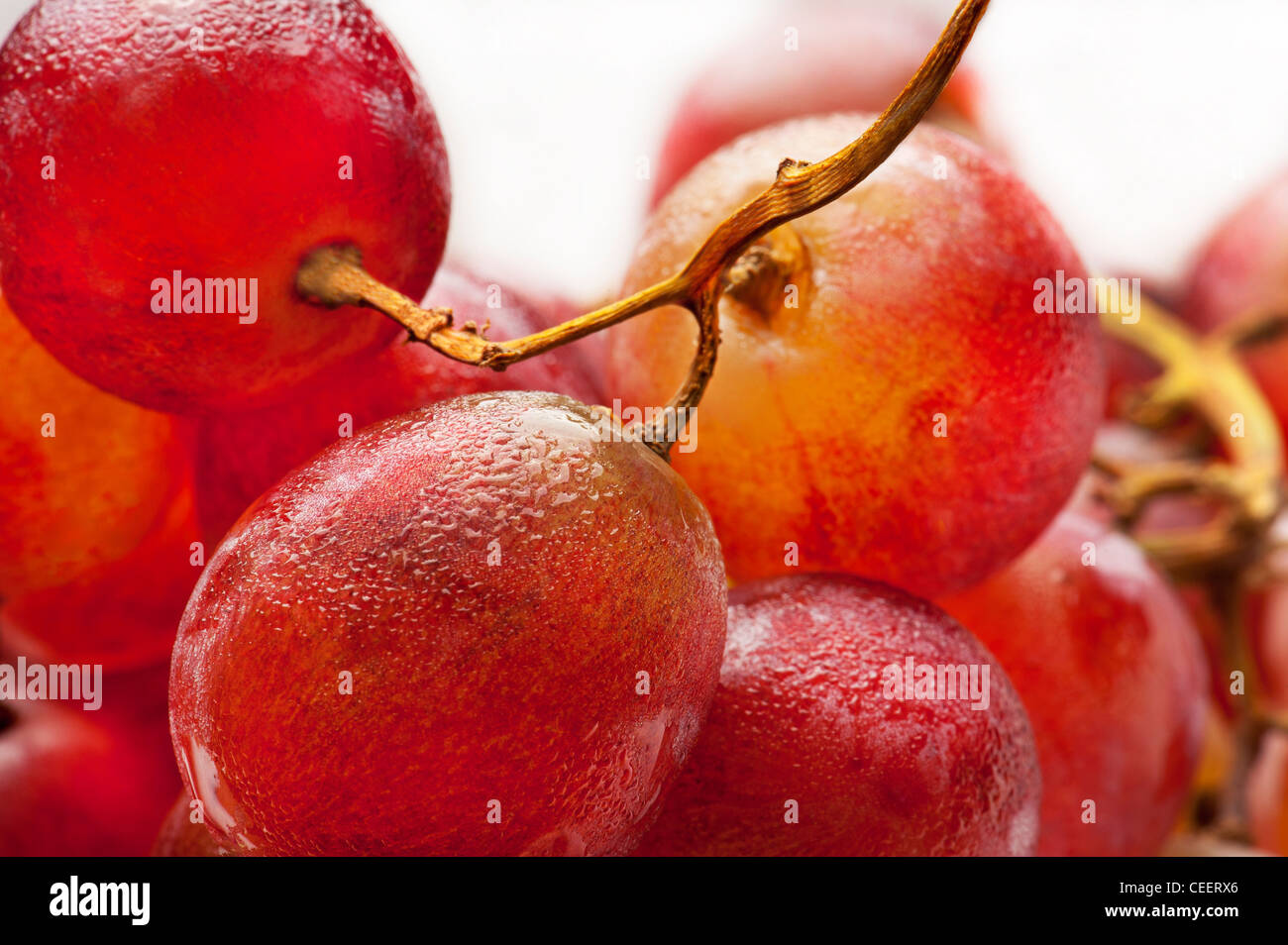 Red Grapes close up Stock Photo - Alamy