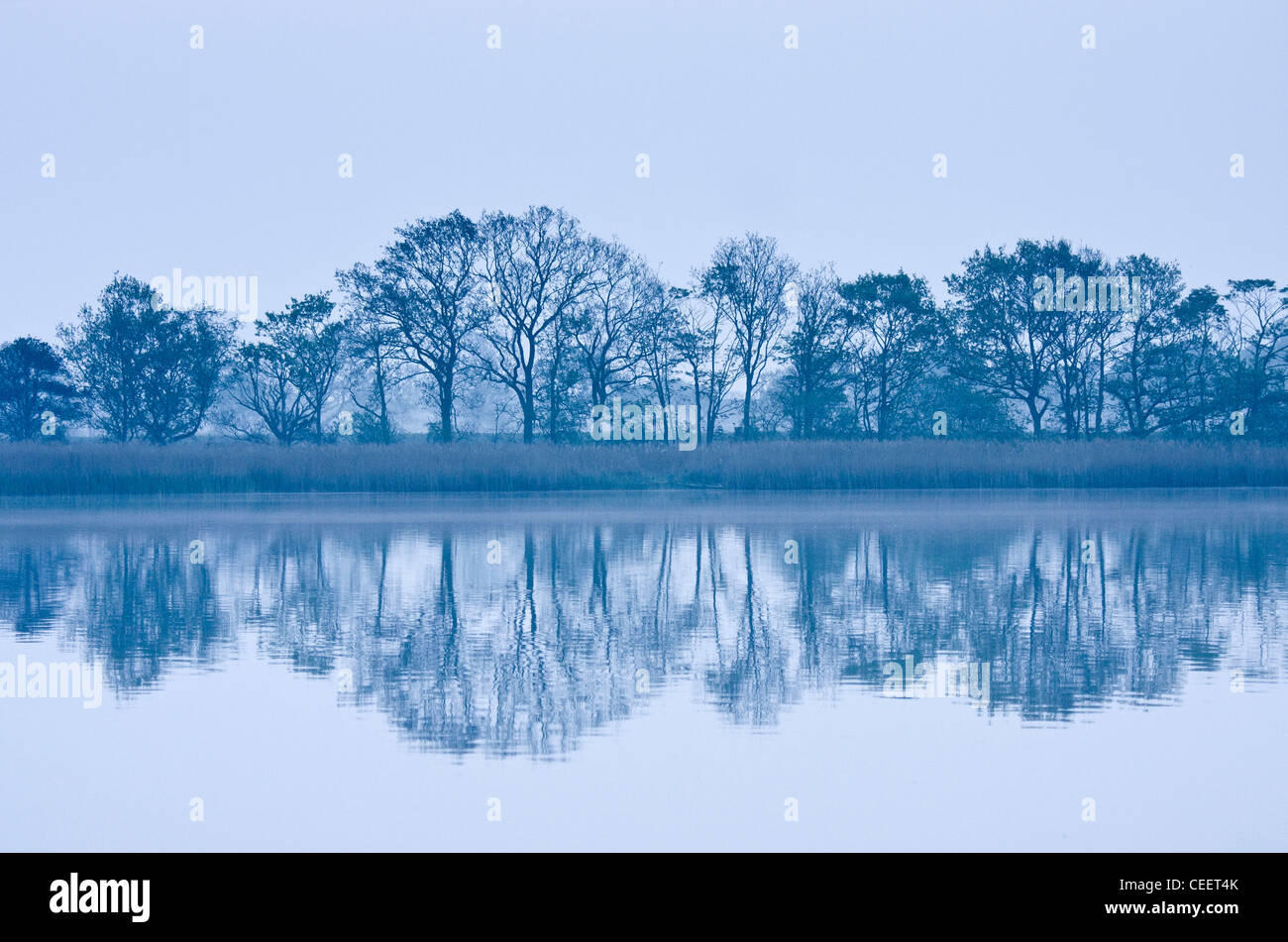 Reflected trees hi-res stock photography and images - Alamy