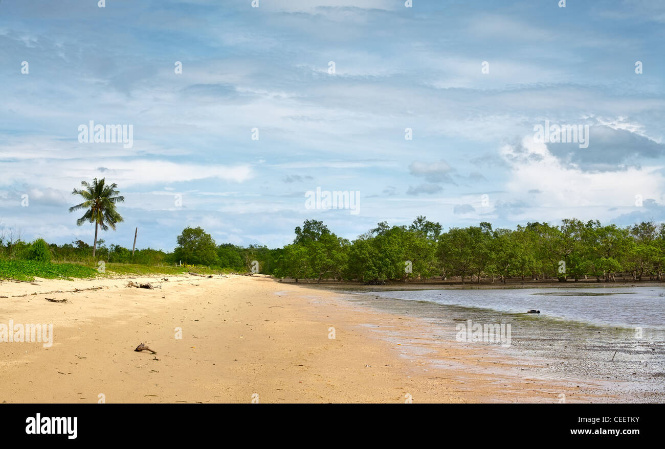 thai landscape with beach and mangrove tree Stock Photo - Alamy