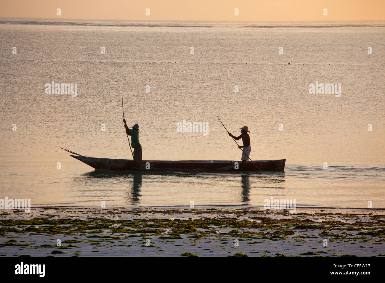 Two Zanzibari men punting a wooden dhow, in the sea off the coral reef ...