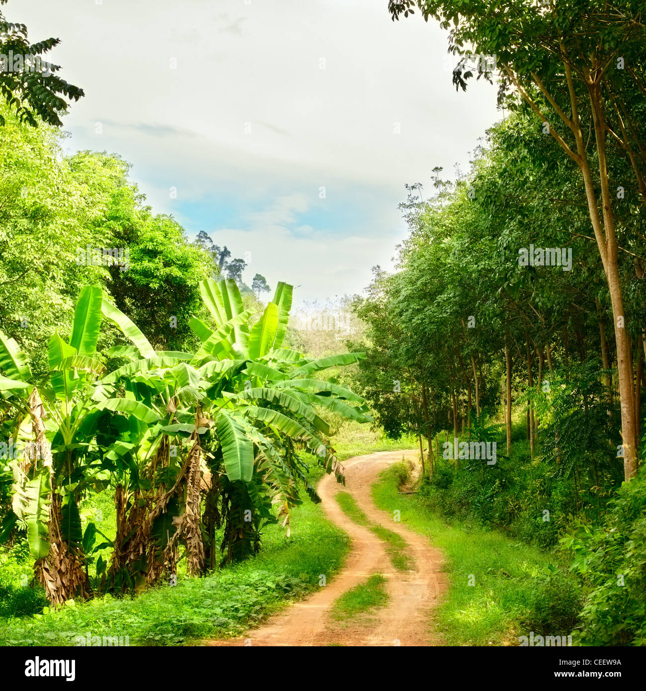 Gound hi-res stock photography and images - Alamy