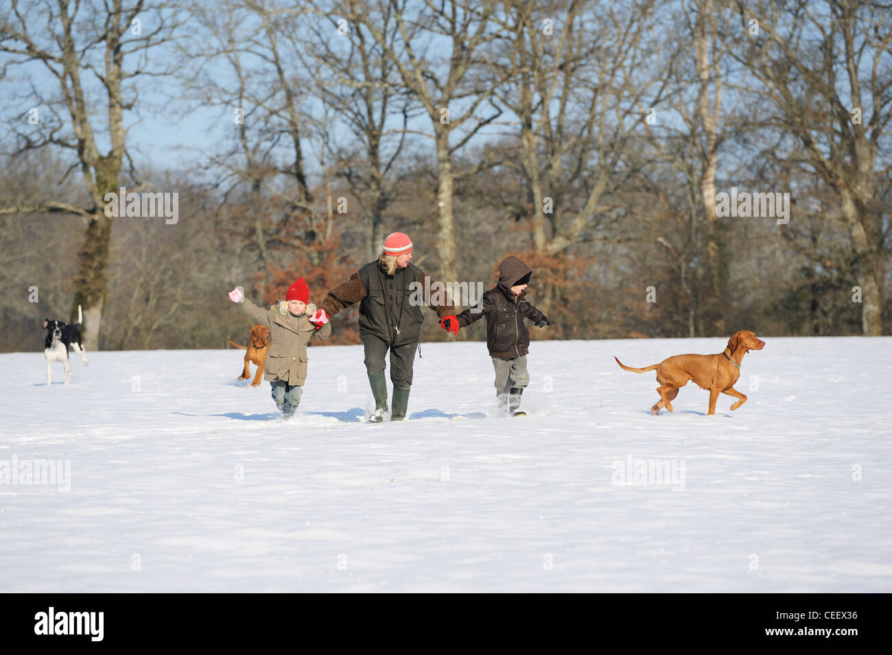 Stock Photo of a family running in the snow Stock Photo - Alamy