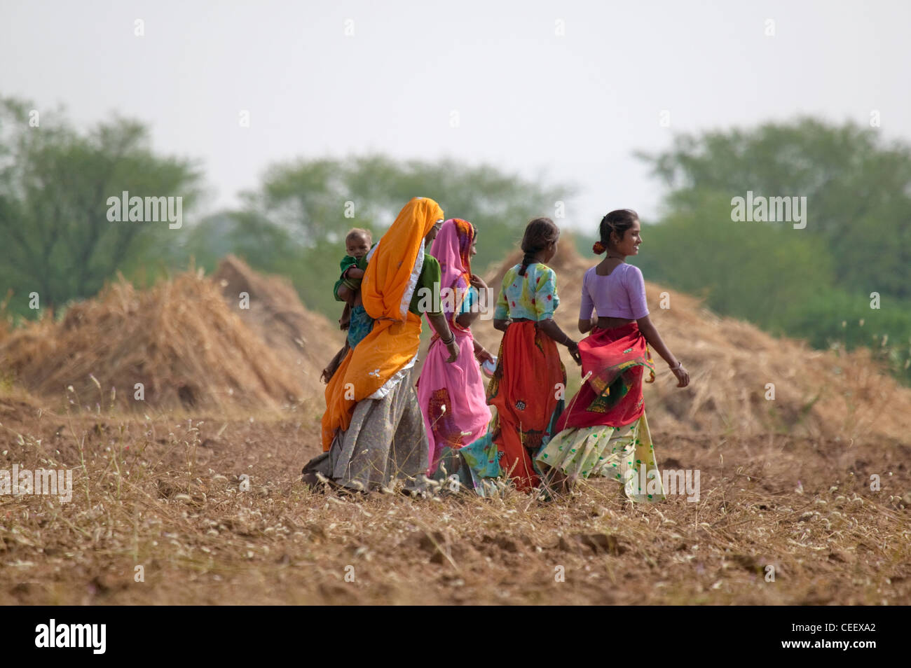 Girls wearing colorful sari, Pushkar, Rajasthan, India Stock Photo - Alamy